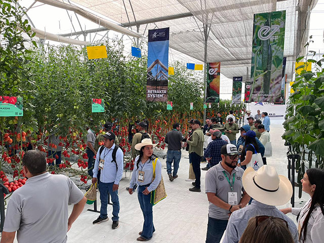 Expo Irapuato 2024