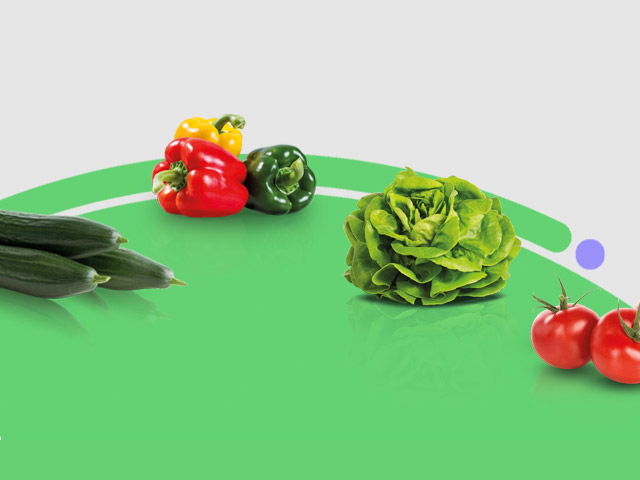 Our vegetable seeds | Enza Zaden