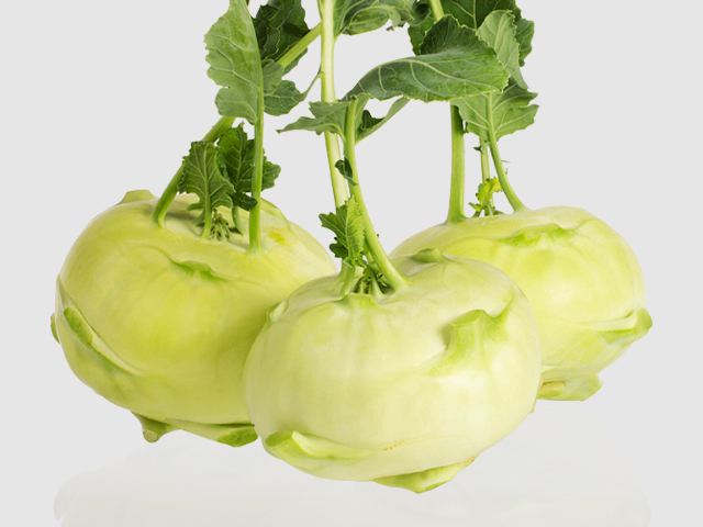 Kohlrabi varieties | Enza Zaden