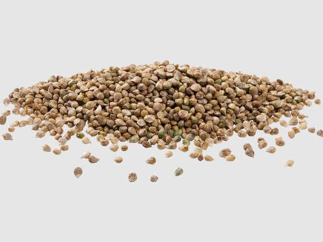 Certifications for Quality Seeds and Services | Enza Zaden