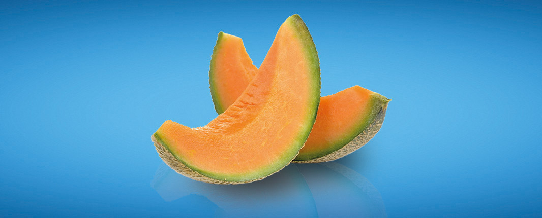 Taste is key in melon, so what’s in store? | Enza Zaden