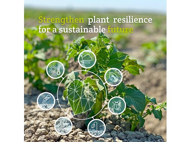 Driving innovation in plant resilience for a sustainable future