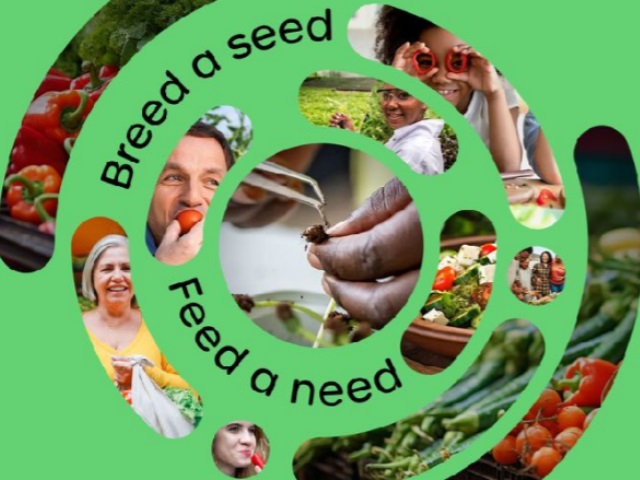 Seeds of wisdom