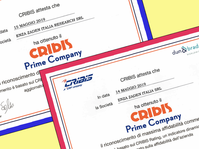 Premio Cribis