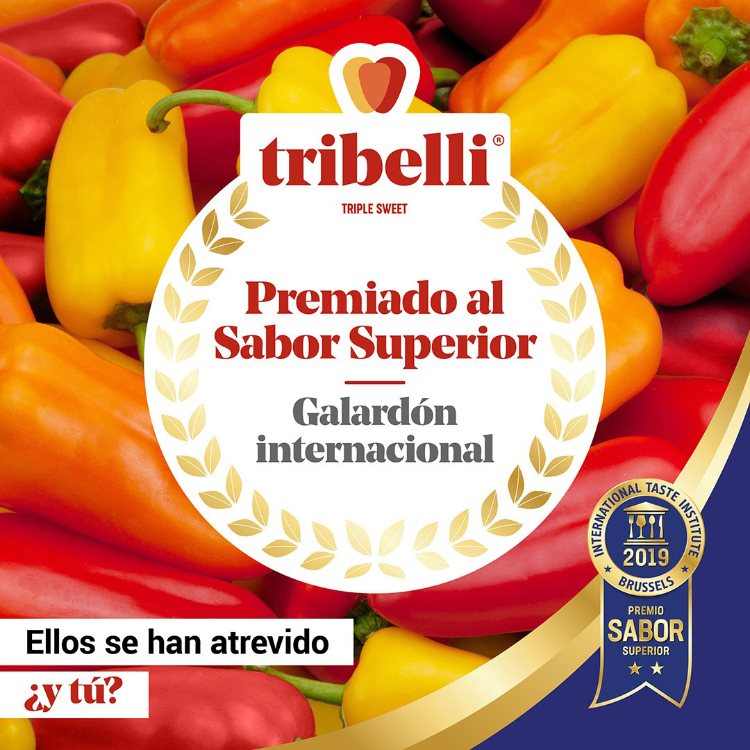 Tribelli: Sapore Superiore del 2019!