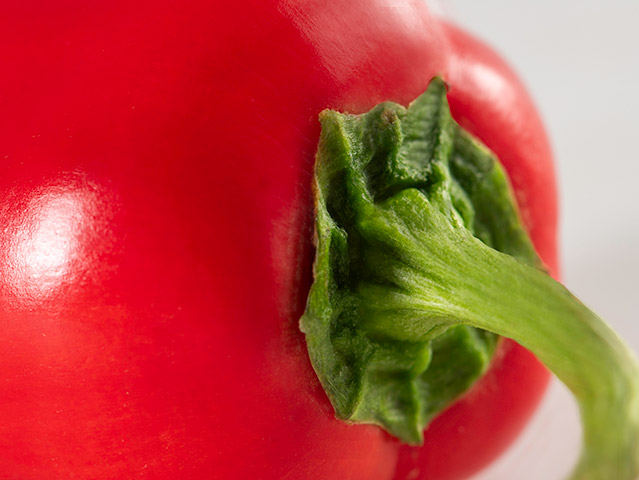 Tribelli, l’expérience authentique de la douceur