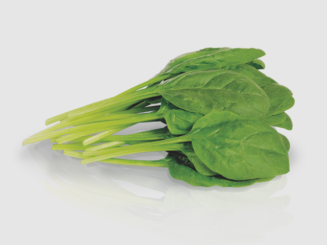Spinach varieties Enza Zaden resistant to new races of downy mildew